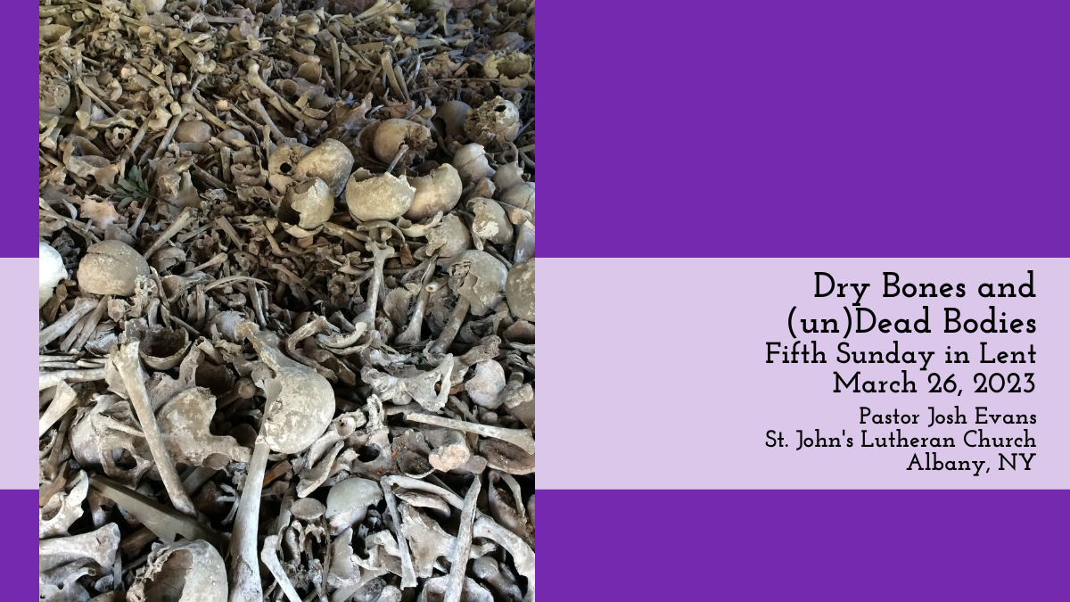 Dry Bones and (un)Dead Bodies – Pastor Josh Evans